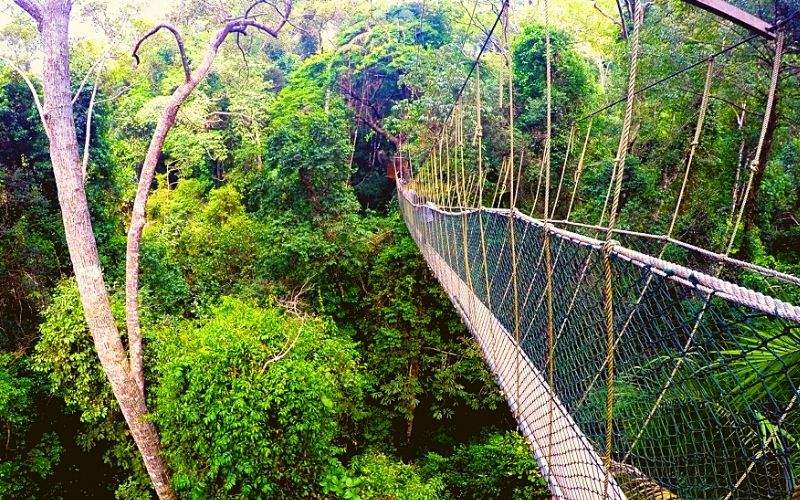 BIRD WATCHING PRODUK PELANCONGAN BAHARU PAHANG - SAHIH