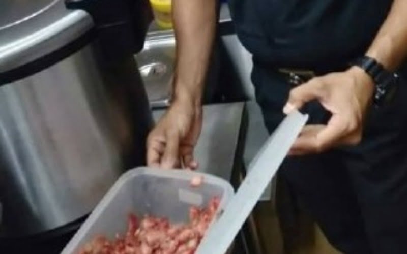 MEE KARI BABI - SAHIH