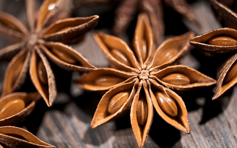 BUNGA LAWANG BERACUN BOLEH MENYEBABKAN MAUT!